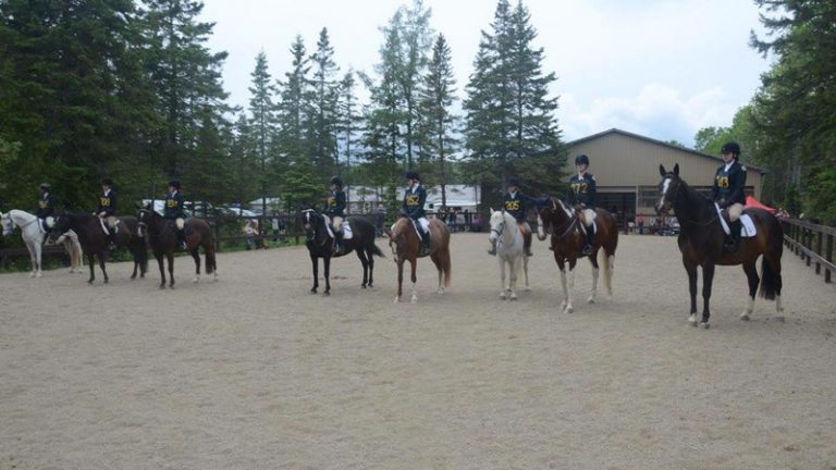 Hampton Riding Centre Horse Show - Hampton Riding Centre