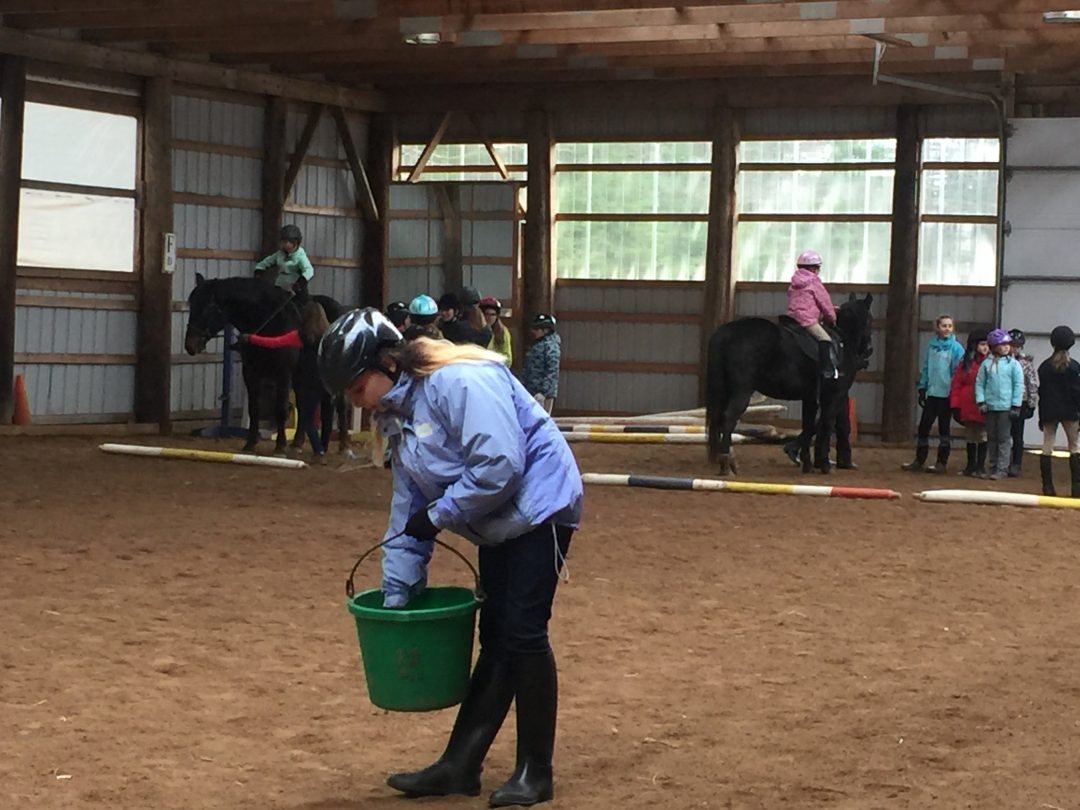 Pony Club - Hampton Riding Centre