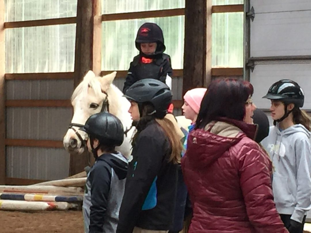 Pony Club - Hampton Riding Centre