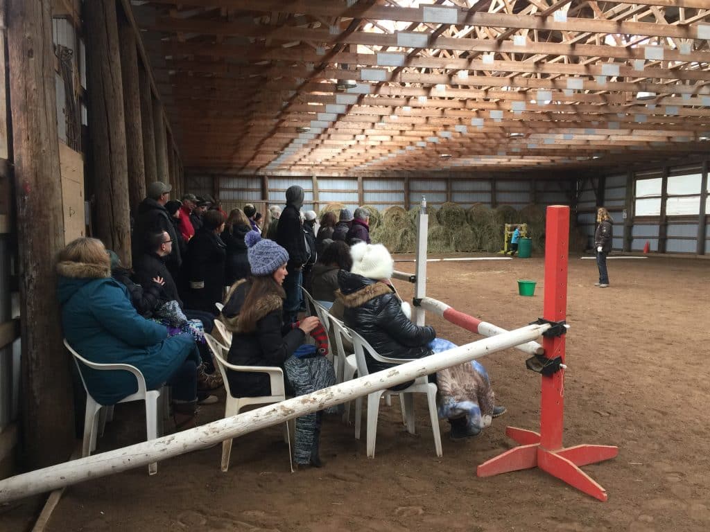 Pony Club - Hampton Riding Centre
