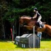 Horseback Riding Lessons - Hampton Riding Centre