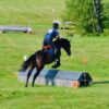 Horseback Riding Lessons - Hampton Riding Centre
