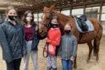 Meet The Horses - Hampton Riding Centre