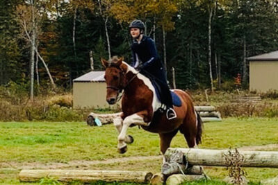 Meet The Horses - Hampton Riding Centre