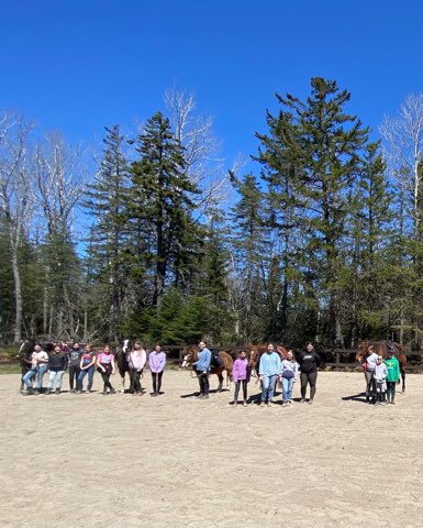 Meet The Horses - Hampton Riding Centre