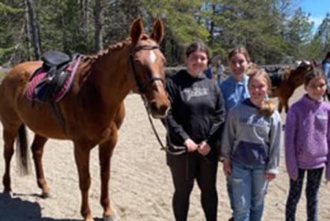 Meet The Horses - Hampton Riding Centre