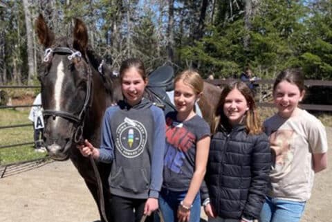 Meet The Horses - Hampton Riding Centre