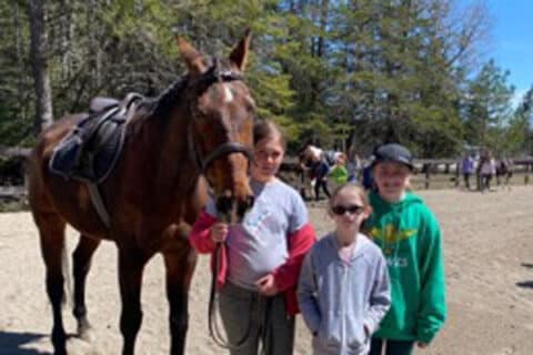 Meet The Horses - Hampton Riding Centre