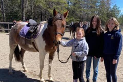 Meet The Horses - Hampton Riding Centre