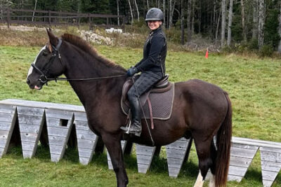 Meet The Horses - Hampton Riding Centre