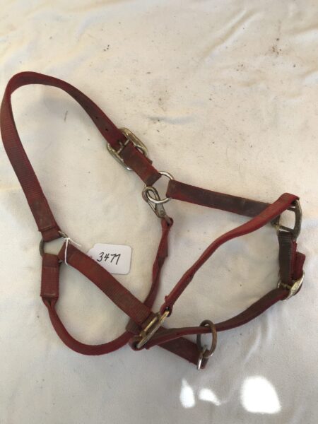 Red Full Halter - Hampton Riding Centre