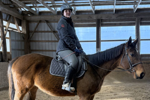 Meet The Horses - Hampton Riding Centre
